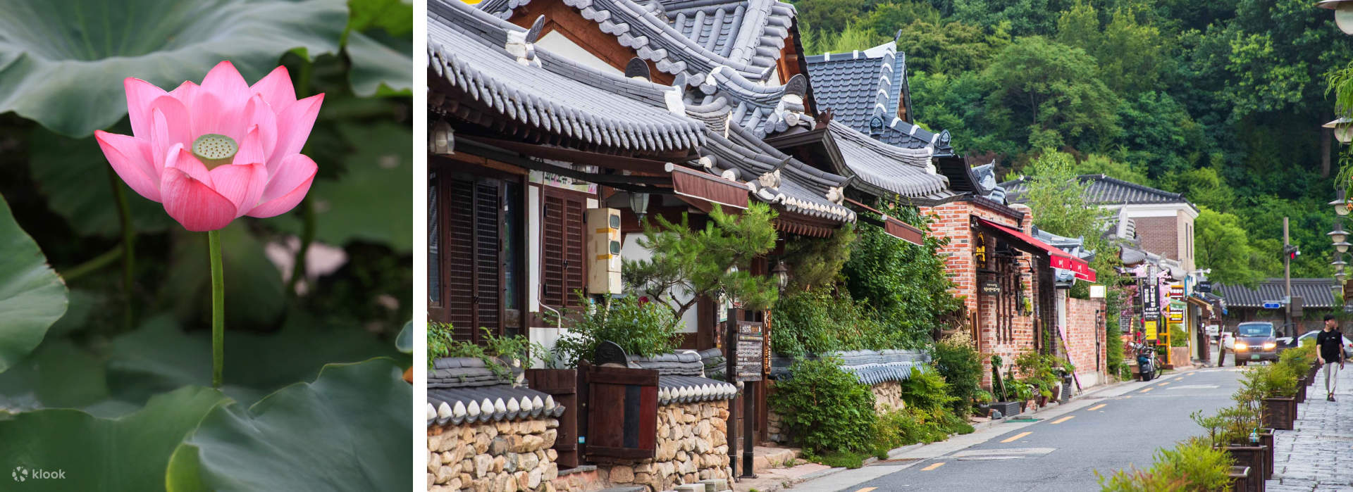 Jeonju Hanok Village & Seasonal Popular Attractions Day Tour - Klook ...
