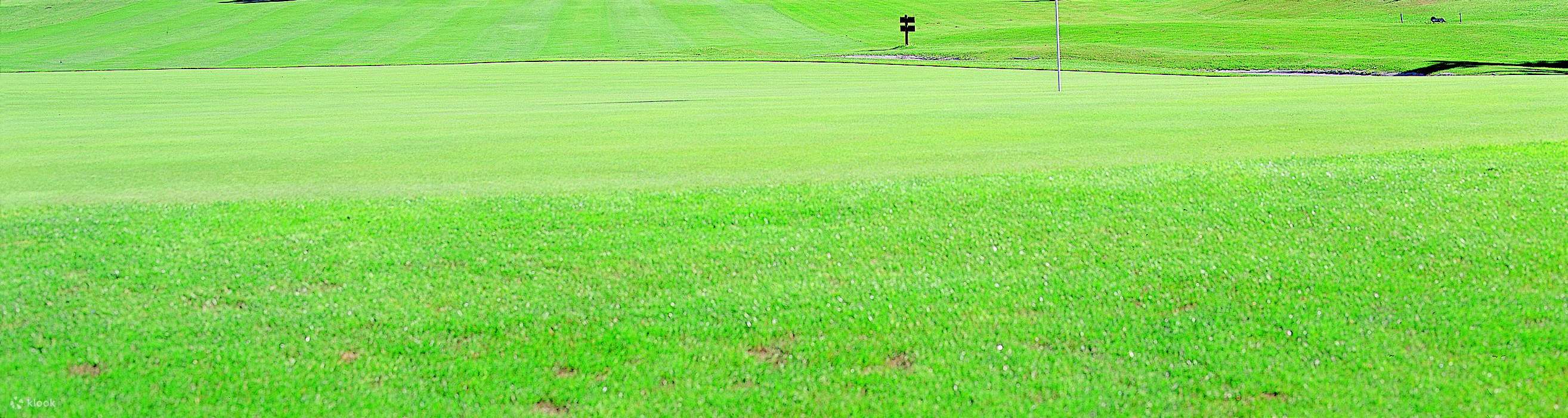 Tomamu Departure | Furano Cheese Factory & Asahiyama Zoo One-dayTour ...