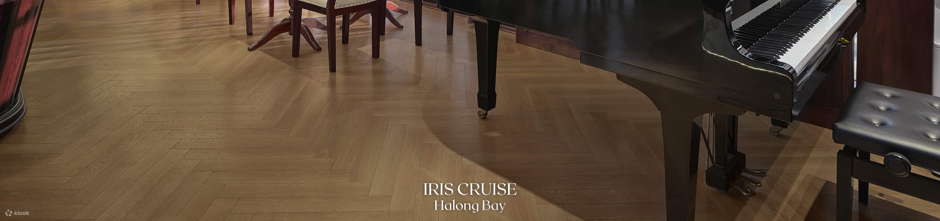 Explore Ha Long Bay Day Cruise Trip by Iris Luxury Cruise, Viet Nam - Klook India