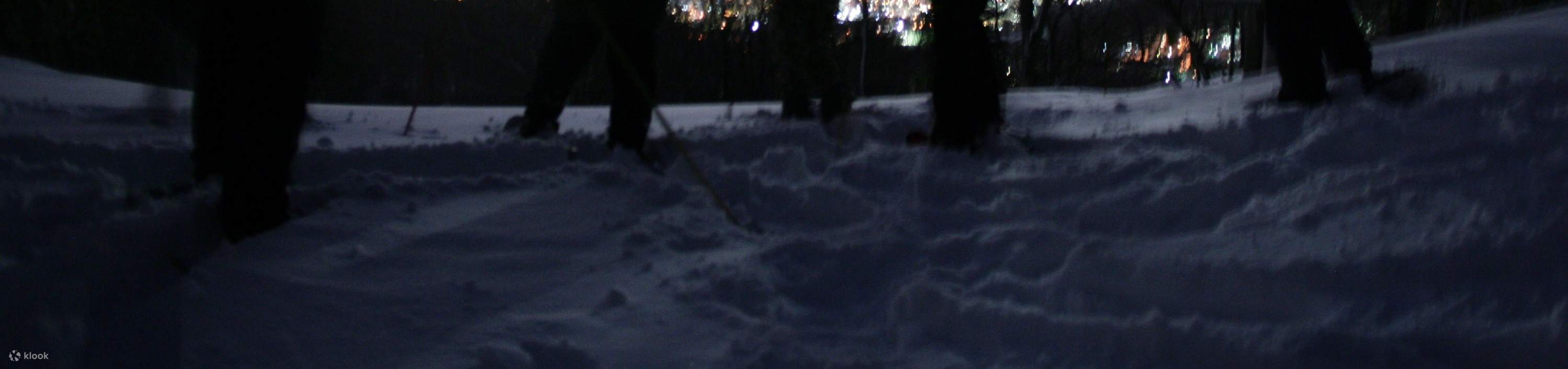Night Hike and Night view in Sapporo Trip - Klook