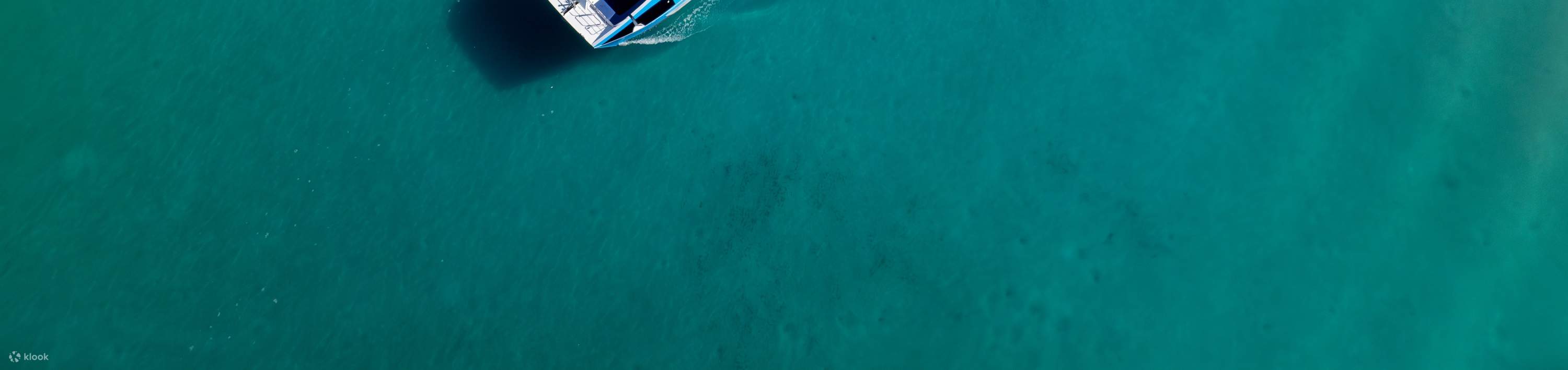 Excursión guiada de un día a Whitehaven Beach Big Island de SeaLink ...