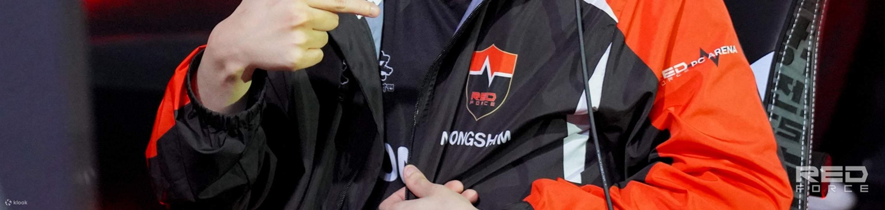 Nongshim RedForce LCK One-Day Private Tour - Klook