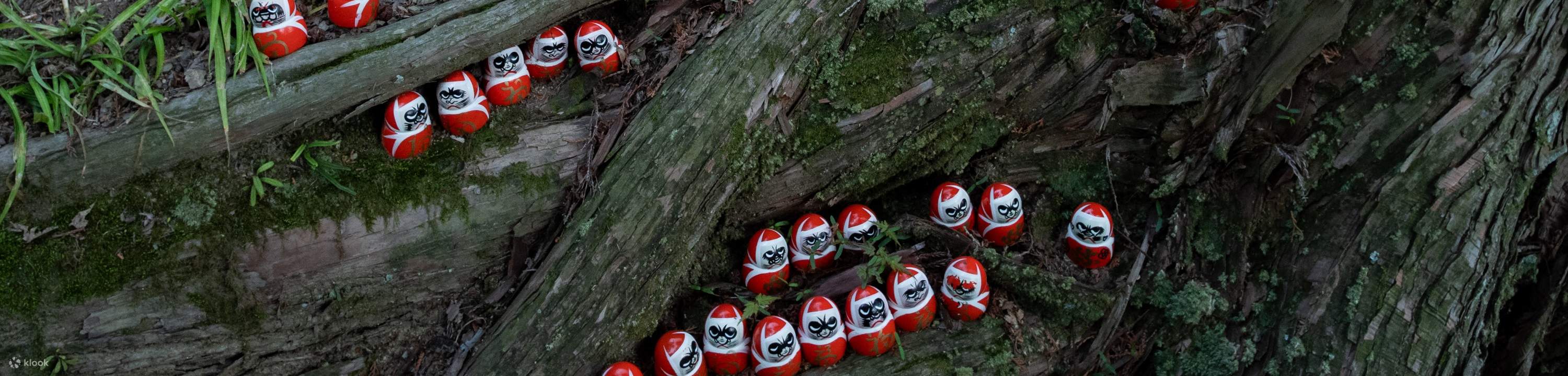 Minoh Katsuoji Temple Walking Tour with Local Guide (4 Hours) - Klook ...