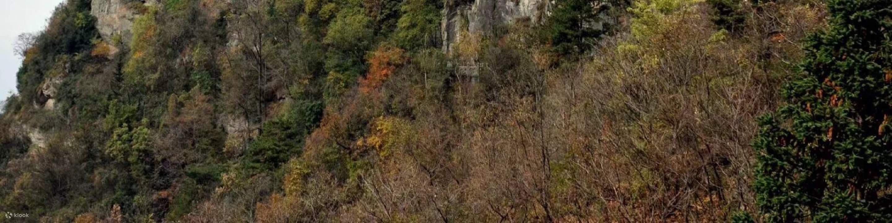 Exploring Wudang: A Luxurious Two-Day Trip to the Immortal Mountain ...