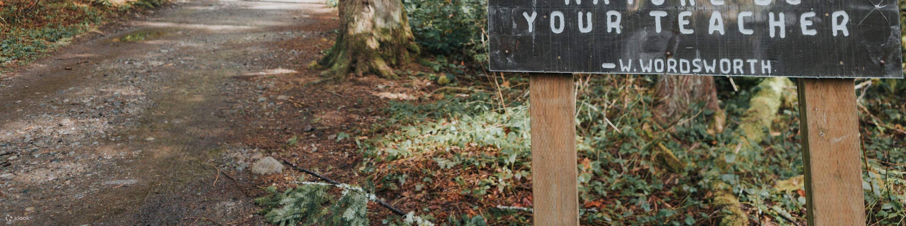 Wallace Falls Rainforest and Waterfall Hiking Tour From Seattle - Klook ...