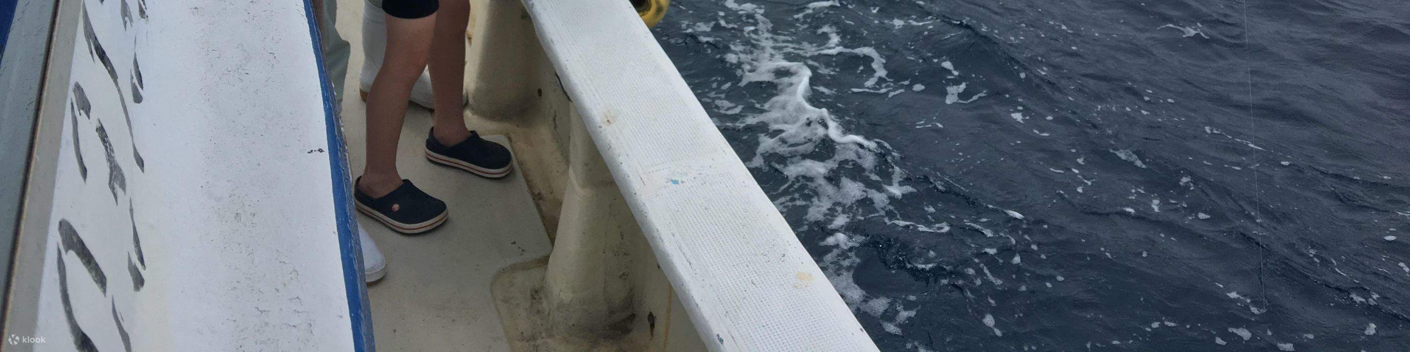 Okinawa Floating Fish Reef Fishing Experience (Including Equipment ...