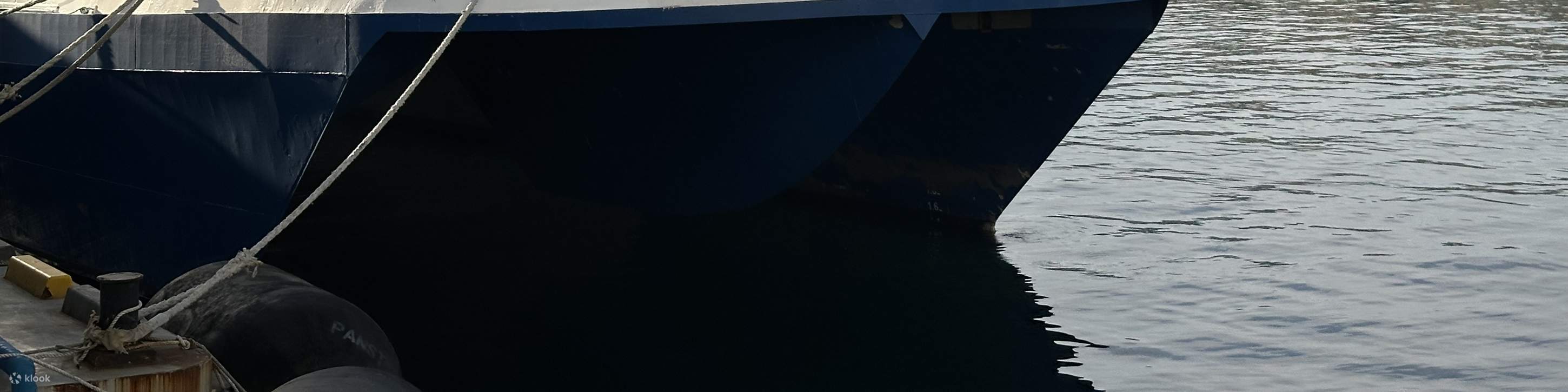Busan - Tsushima Island Ferry by PANSTAR Cruise - Klook United States