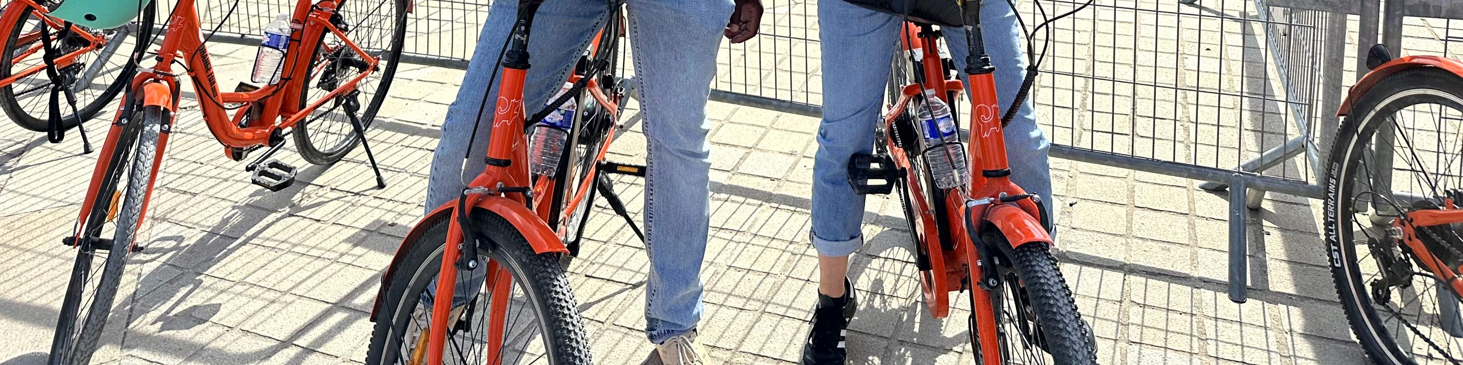 Paris: Local Culture and History on a 2.5h Guided Bike/E-Bike Tour - Klook India