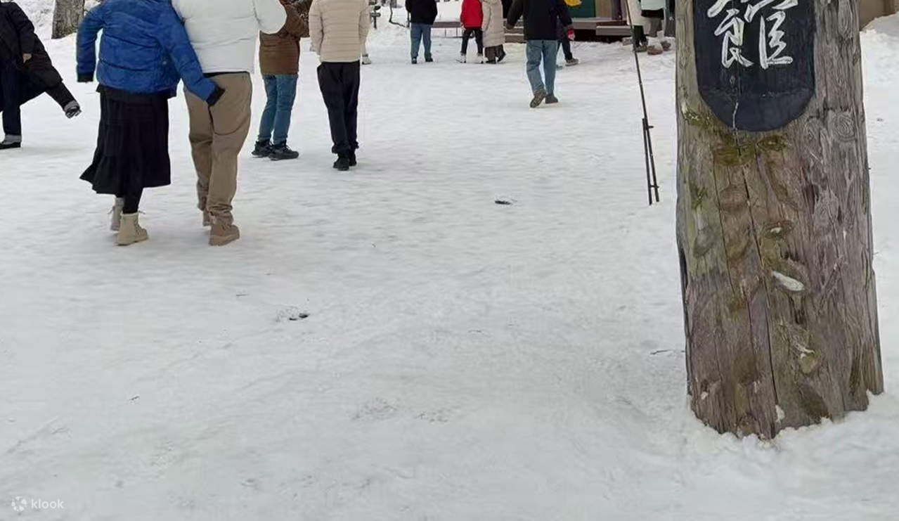 Blue Pond Illumination & Ningle Terrace & Shikisai-no-oka & Christmas ...