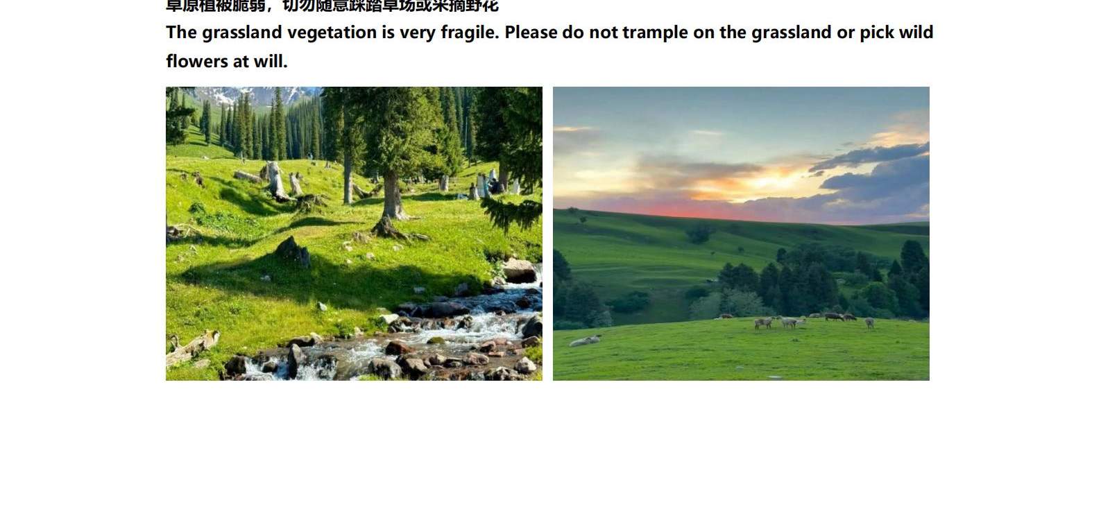 A Wandering Journey in the Northern Frontier Skyland - Klook New Zealand