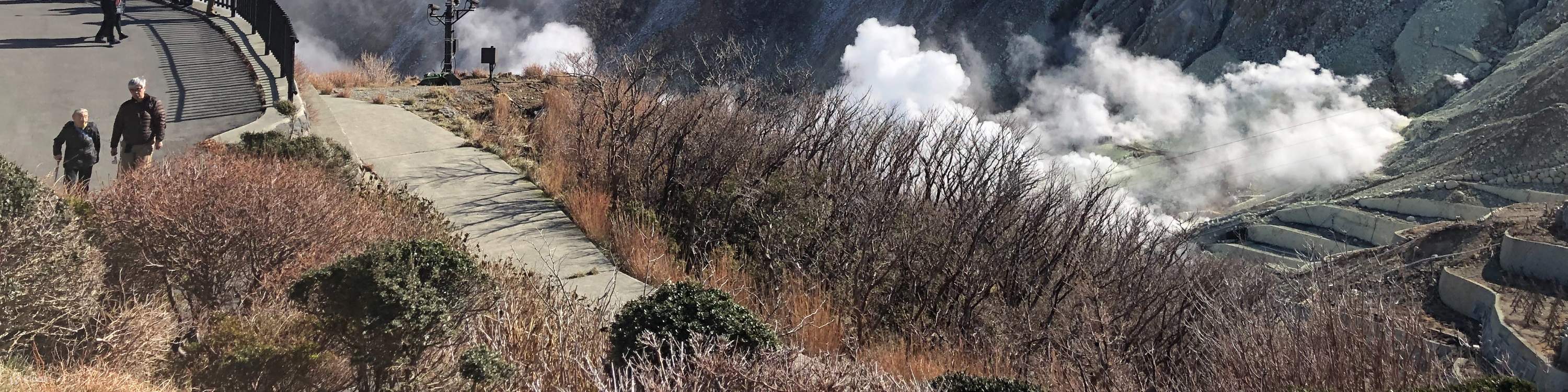 Hakone & Fuji Cruise & Cable Car & Owakudani Day Tour from Tokyo ...