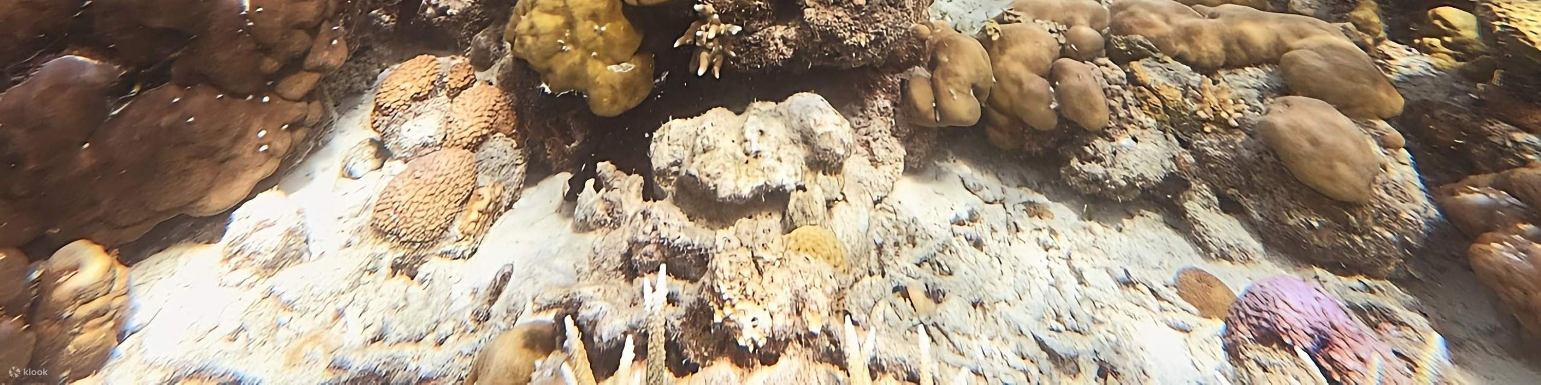 Pukaway Cave Cenote at Coron plus Island Hopping - Klook