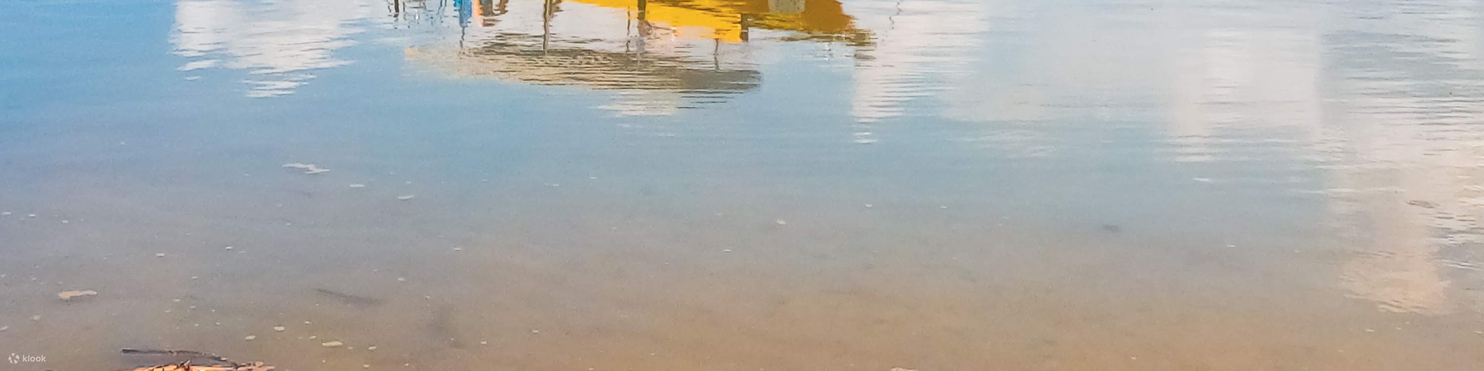 龟岛 & 玻璃底船 & 红树林巡航之旅（JTB Indonesia提供） - Klook客路