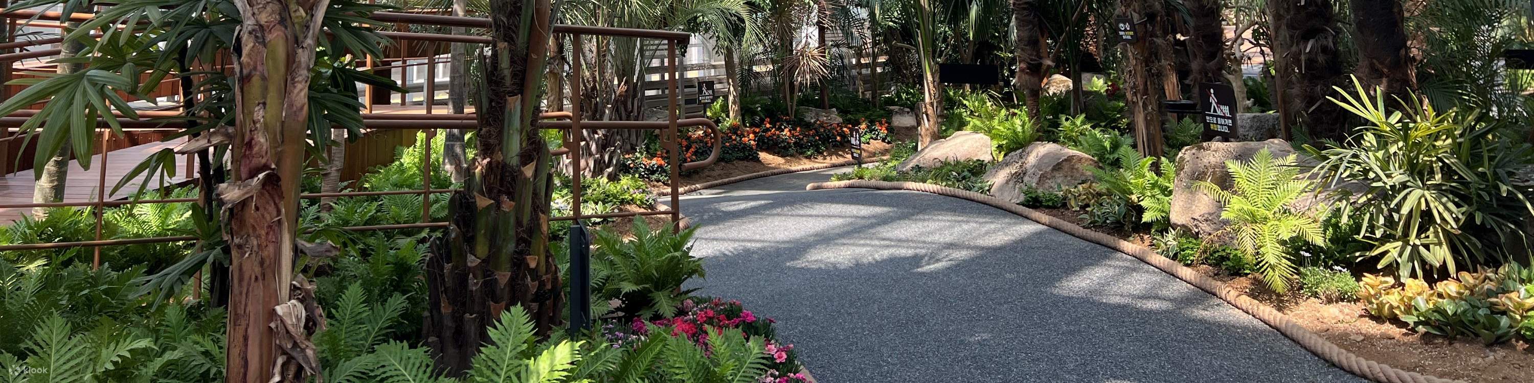 Begonia Bird Garden + Gapyeong Kreuzfahrt + Nami/Jara Insel Tagestour ...