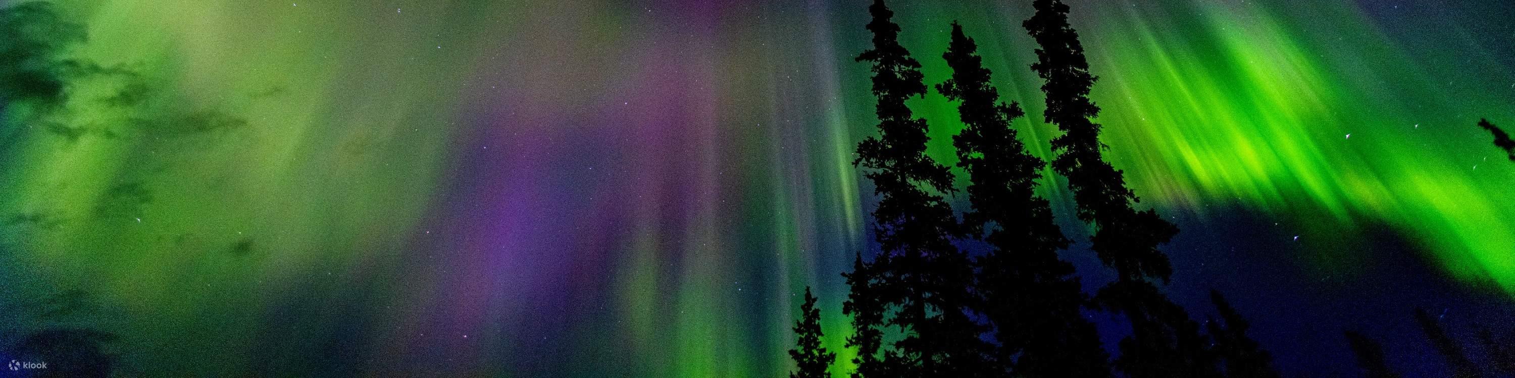Tur Pribadi Aurora di Whitehorse, Kanada - Pesan Sekarang! - Klook ...