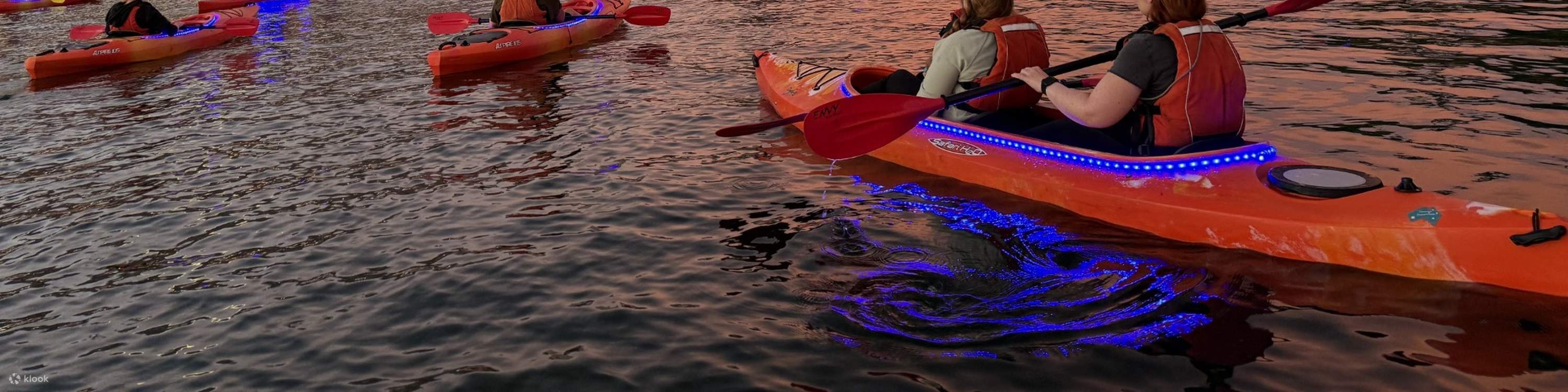 Sunrise Kayak on Sydney Harbour with Breakfast Tour - Klook The Bahamas