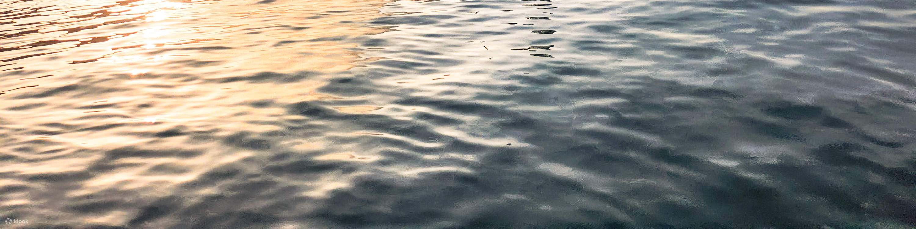 Nami Island (Speedboat)/Alpaca/Rail Bike/Morning Calm Private Tour - Klook