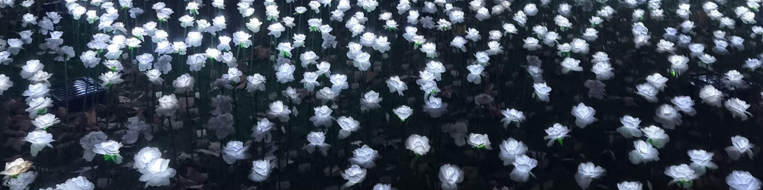 London: Christmas Lights Guided Walking Tour Small Group - Klook