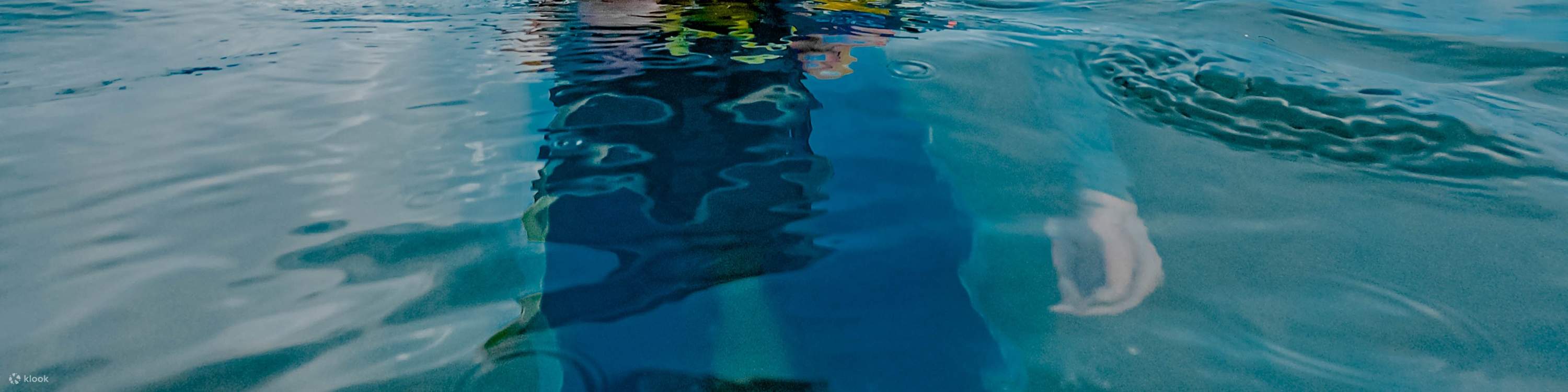 タートルアイランド・グラスボート・マングローブクルーズ体験（JTBインドネシア提供） | Klook