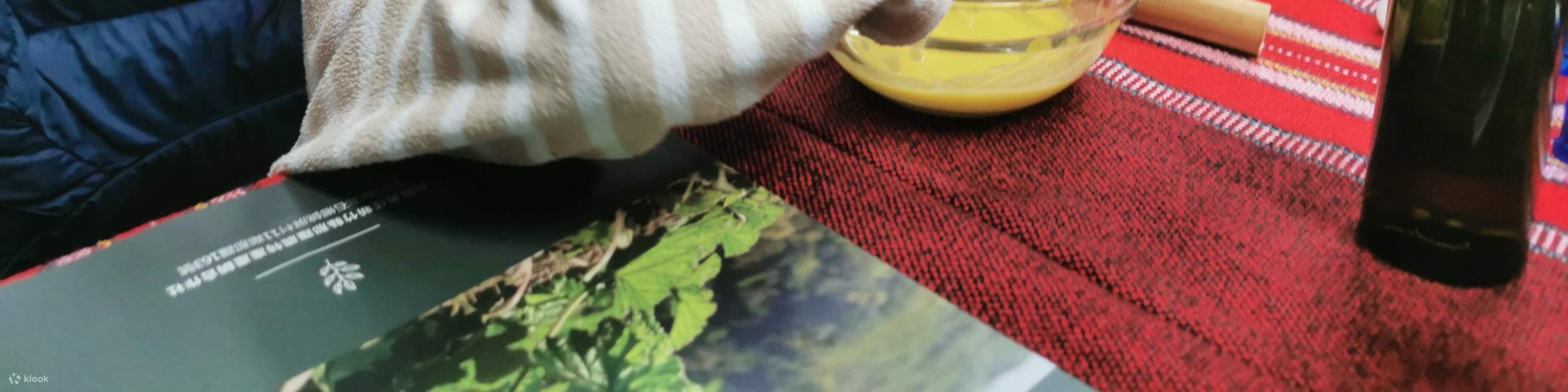 Hsinchu Jianshi｜Nara Herb｜Fuxing Coal Mine Park｜Tur & Pengalaman DIY - Klook Indonesia