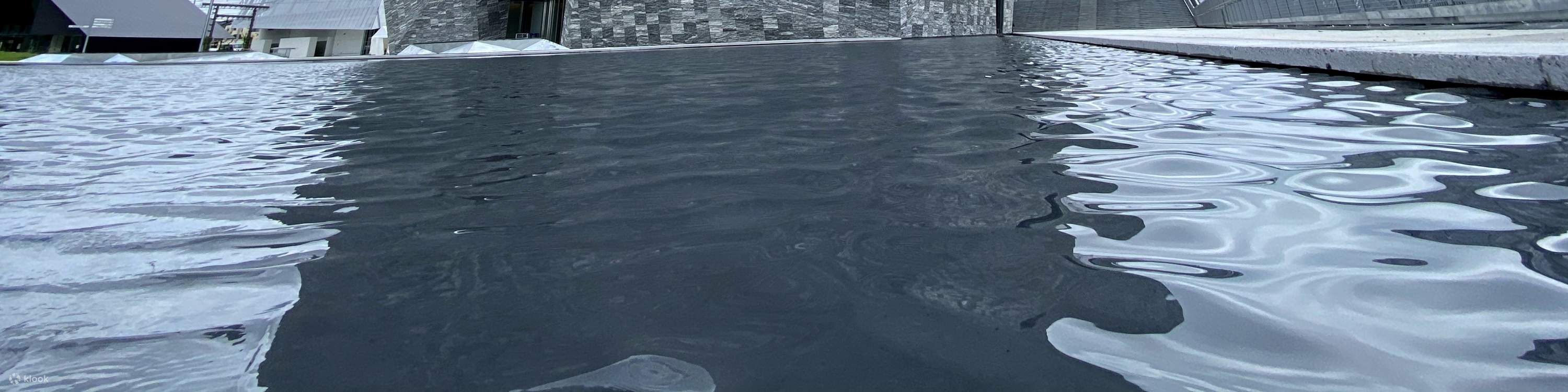 Online Reservation for Fujiko F. Fujio Museum & Kadokawa Musashino Museum Tour - Klook