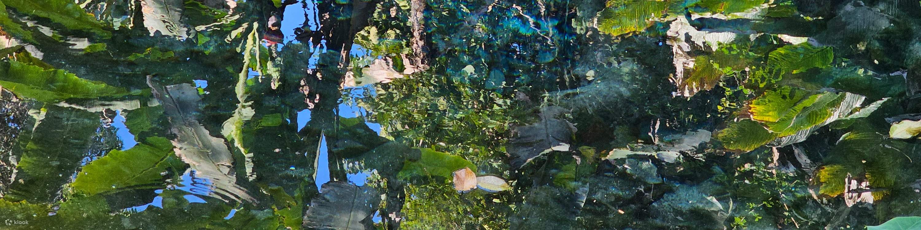 Join In Sticky Waterfall Chiang Mai Half Day Tour - Klook Malaysia