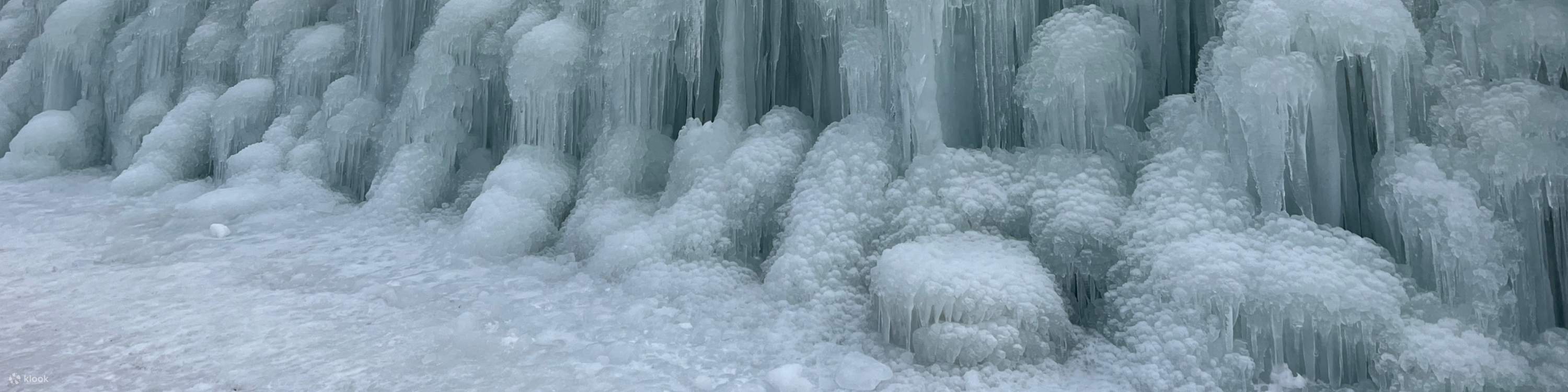 Tour dell'Arboreto Nazionale di Sejong e del Villaggio Alpino di Cheongyang con partenza da ...