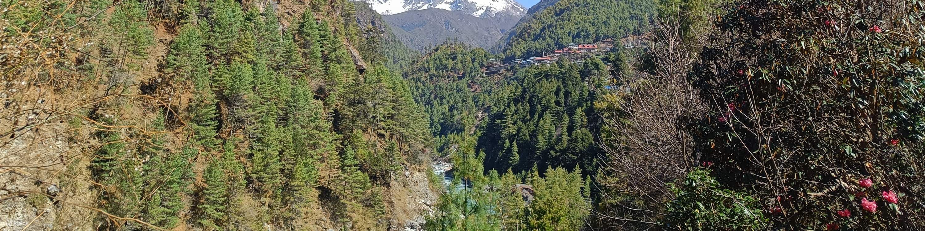 Experience the Majestic Pikey Peak Trek | Adventure in the Himalayas ...