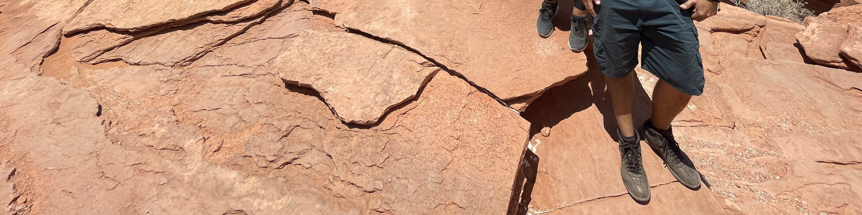 Antelope Canyon, Horseshoe Bend, & Lake Powell Tour from Las Vegas ...