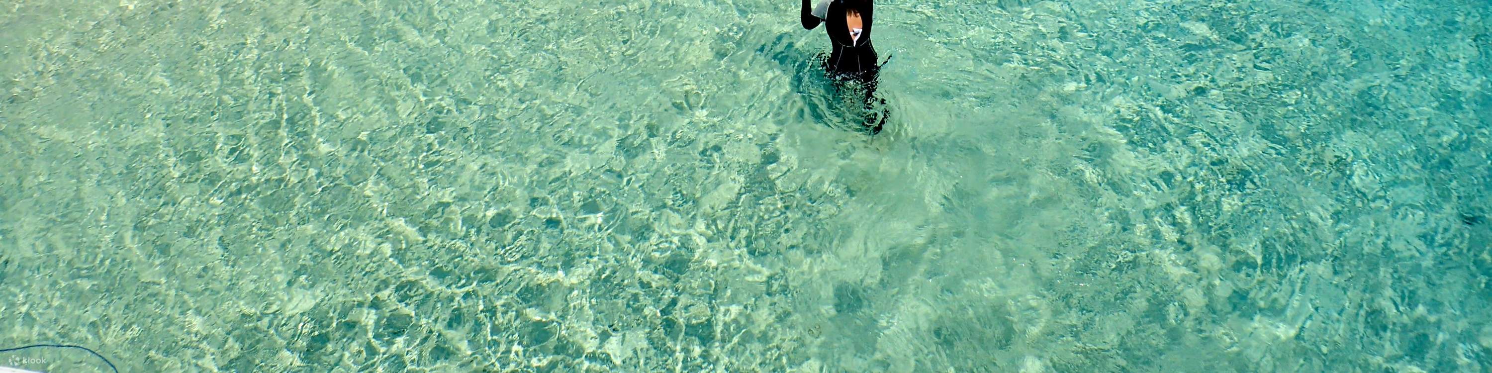 Half-day landing on a fantastic island & snorkeling experience (with free GoPro rental ...