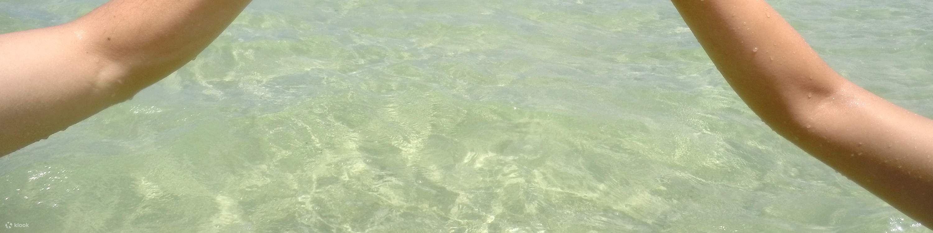 Kane'ohe Bay Sandbar Turtle Watching & Snorkeling Tour - Klook