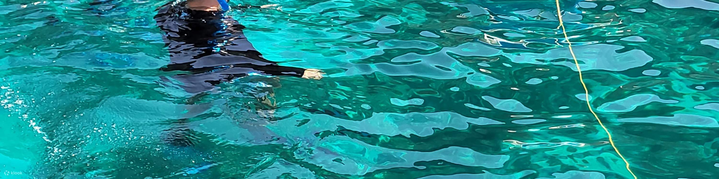 Snorkeling Adventure: Explore the Sea and Caves of Malta - Klook