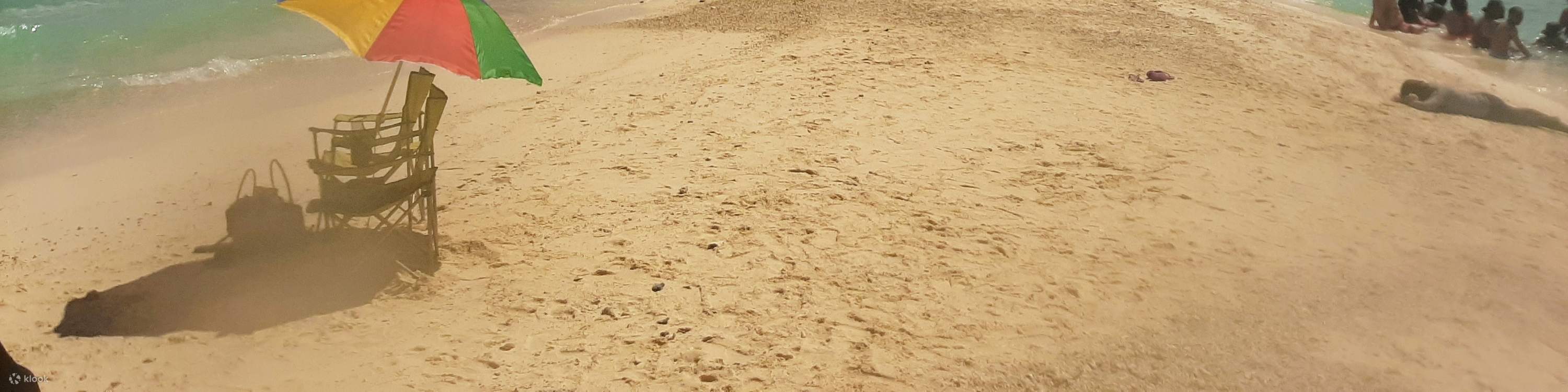 Whale Shark Encounter, Sumilon Sandbar, and Canyoneering in Kawasan ...