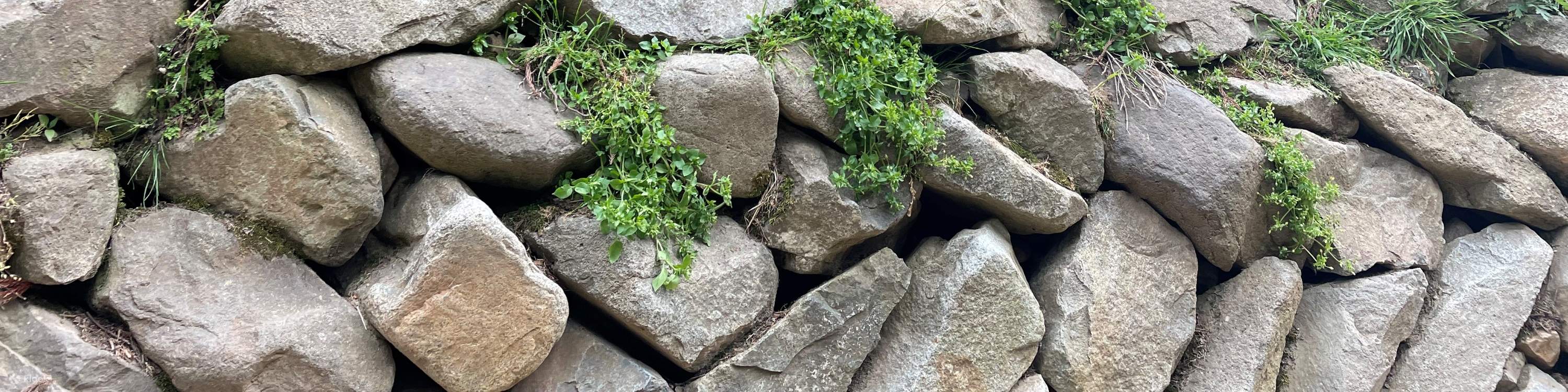 Snow Monkey & Shibu Onsen Tour in Nagano (Nozawa Onsen Departure ...