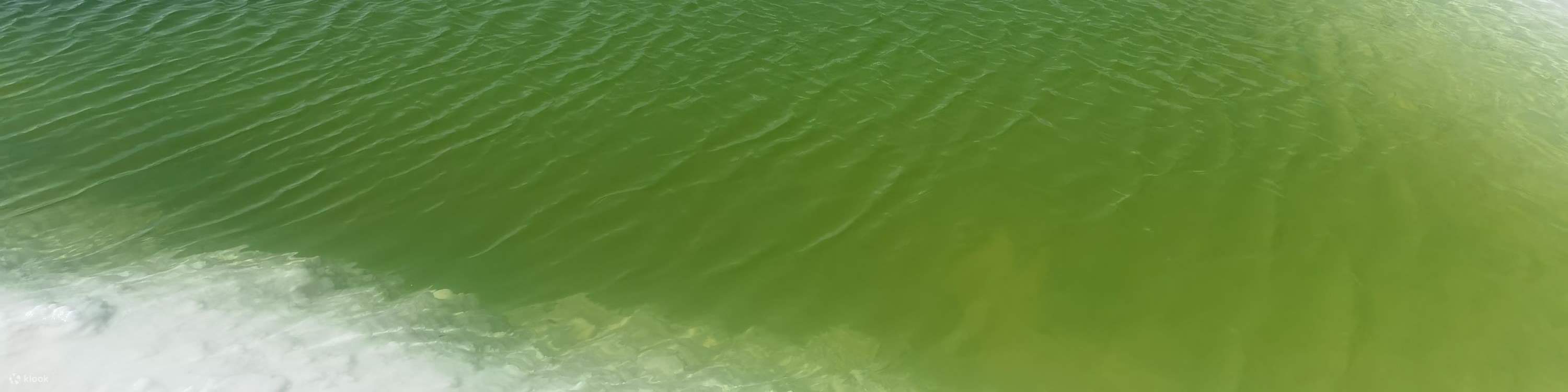 Meet Northwest · Gansu-Qinghai Grand Loop 8 Days (Xining + Qinghai Lake ...