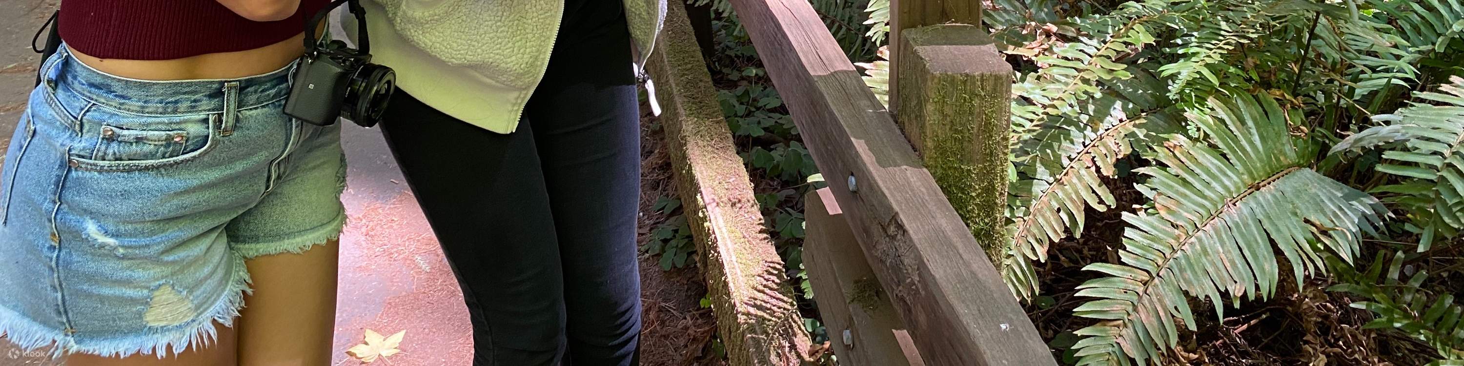 Private Muir Giant Redwoods Trees and Sausalito Guided Tour - Klook ...