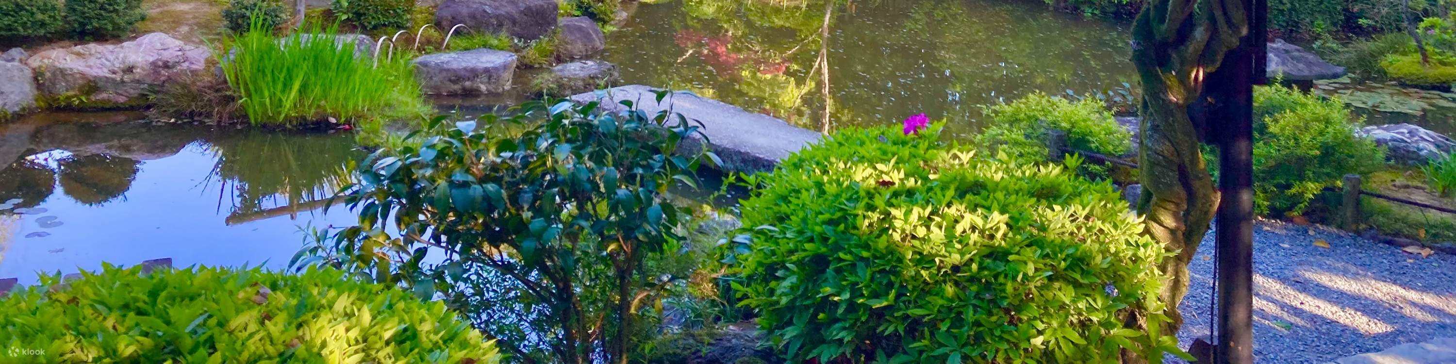 Taizoin Religious Corporation Admission Ticket (Kyoto) - Klook New Zealand