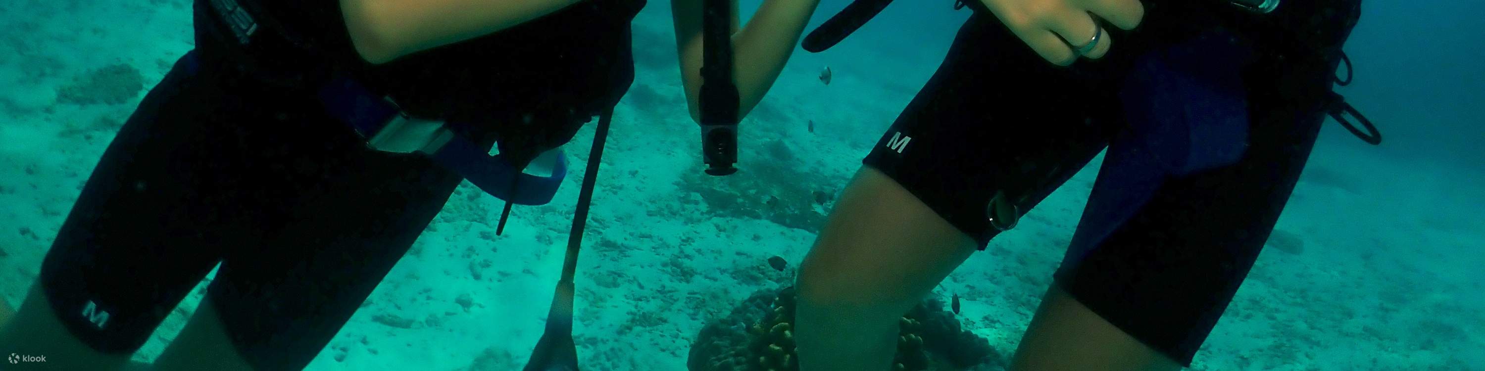 Phuket: Try SCUBA DIVING Full Day Experience 3 Dives - Klook India