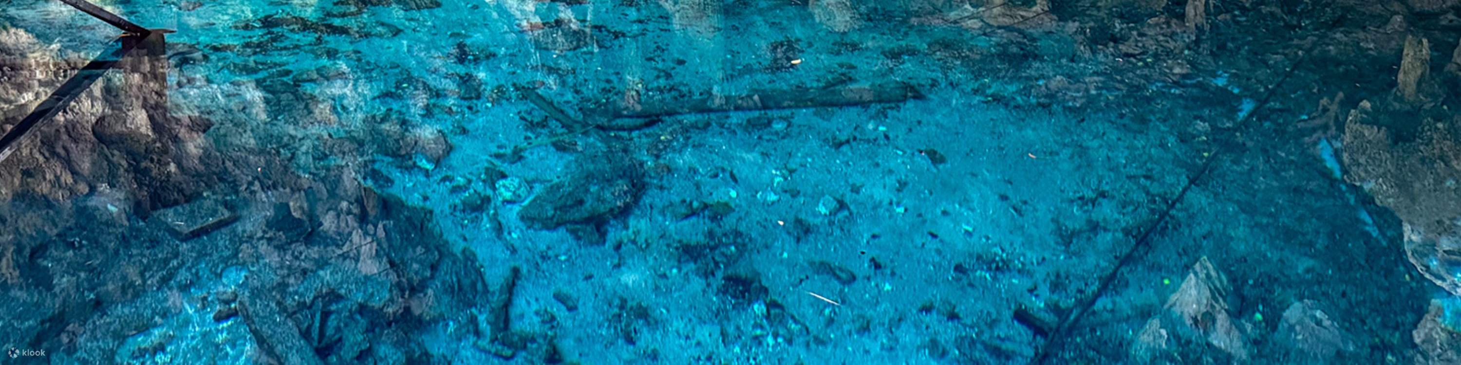 Tulum & Coba Maya Ruins Tour with Cenote Swim & Snorkels in Mexico - Klook