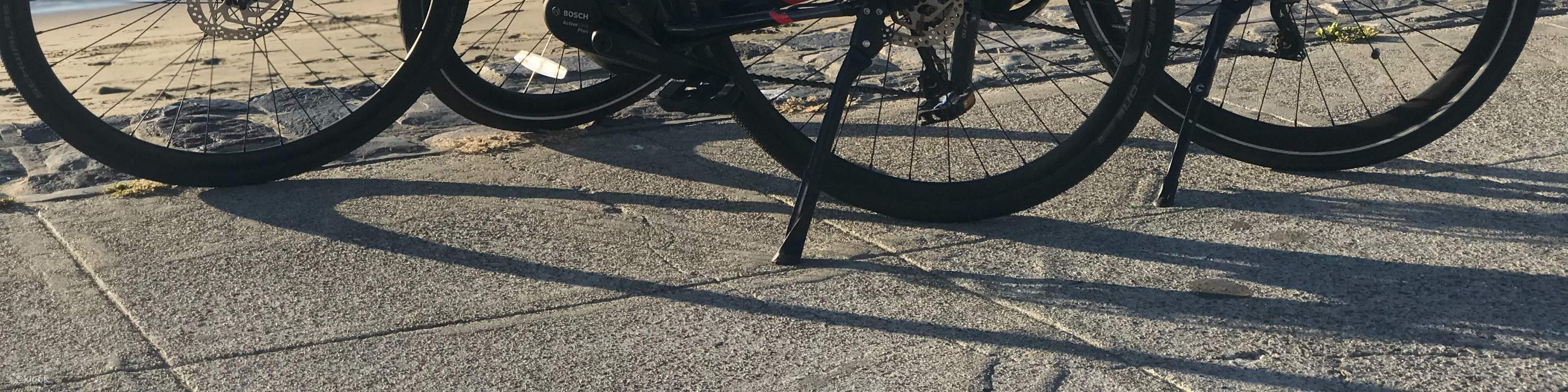 E-Bike-Tour durch Santa Monica und Venice Beach - Klook, Vereinigte Staaten