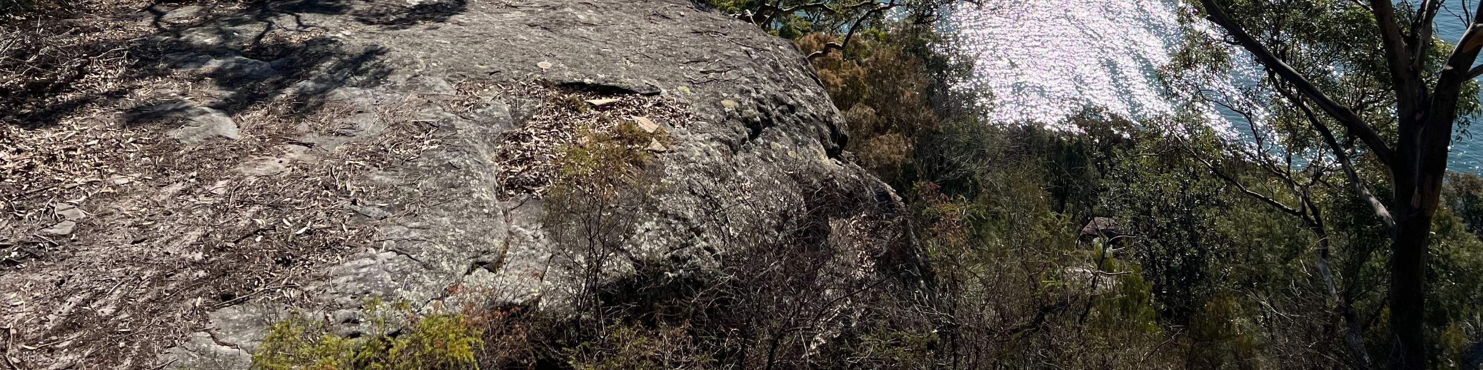Sydney's Northern Beaches and Ku-ring-gai National Park Bus Tour ...
