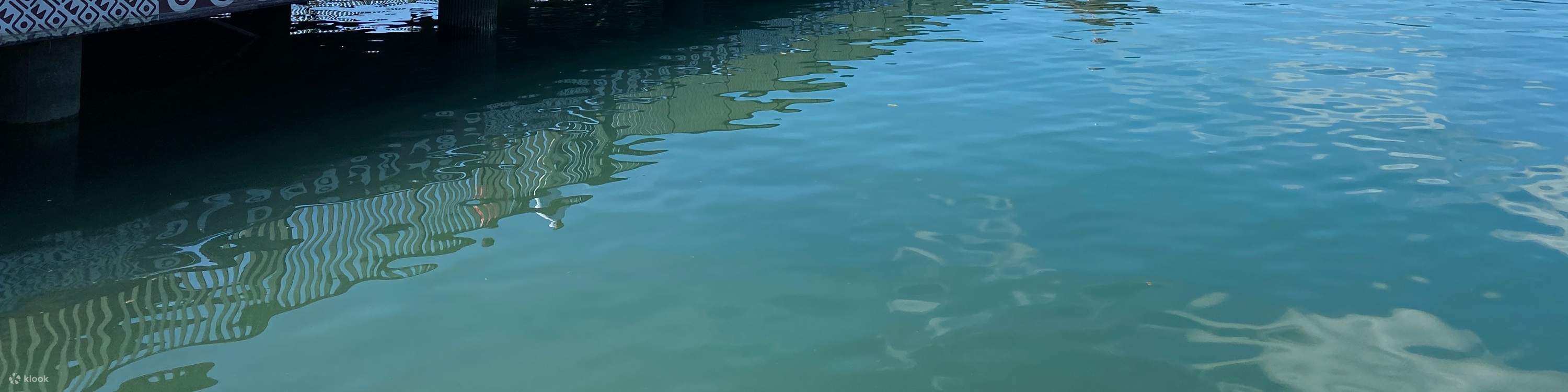 1 Day Sun Moon Lake Tour - Klook Philippines