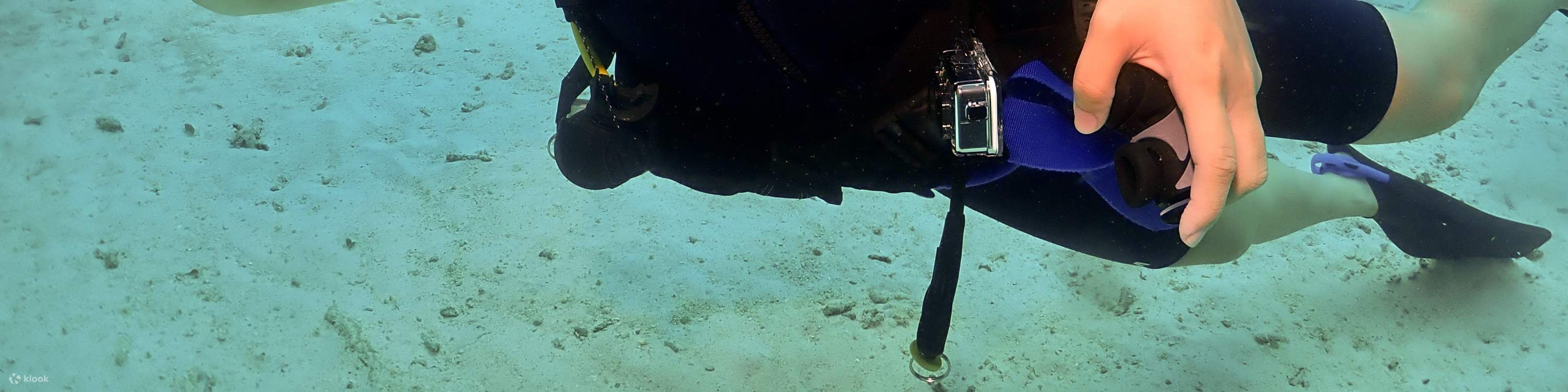 Phuket: Try SCUBA DIVING Full Day Experience 3 Dives - Klook Philippines