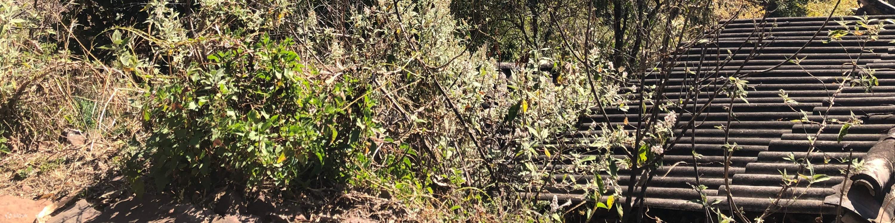 Visit the ancient village of Dali and taste Nuodeng ham - Klook Hong Kong