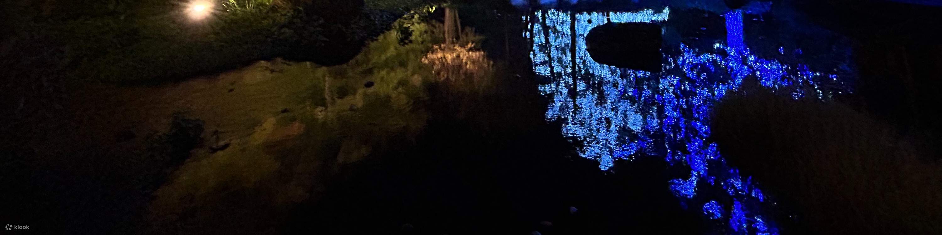 Nagashima Mitsu Outlet & Nabana no Sato Winter Illumination Bus Tour - Klook