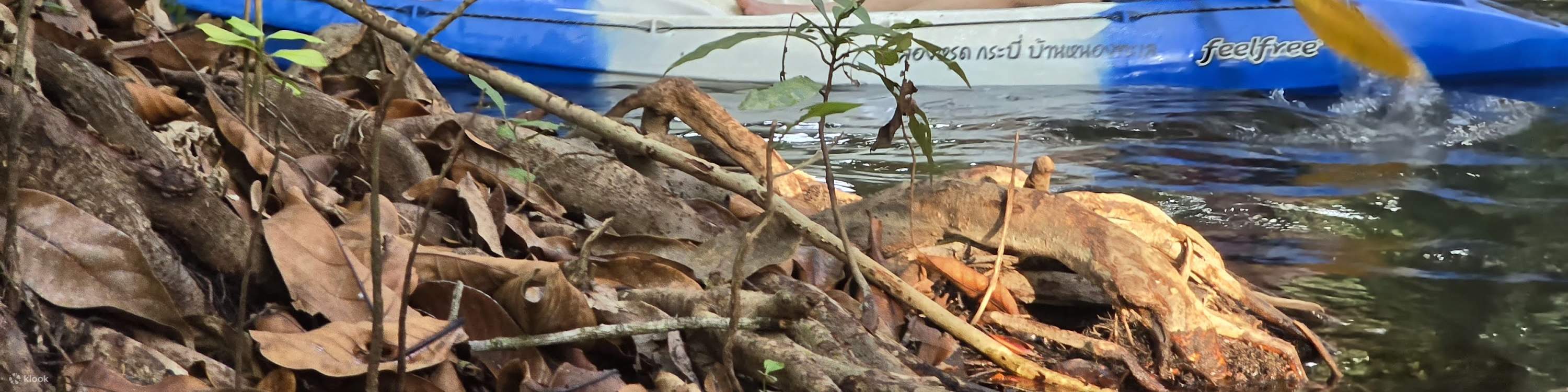 Krabi: Jurassic Jungle Kayaking and Phra Nang Cave Beach Tour - Klook