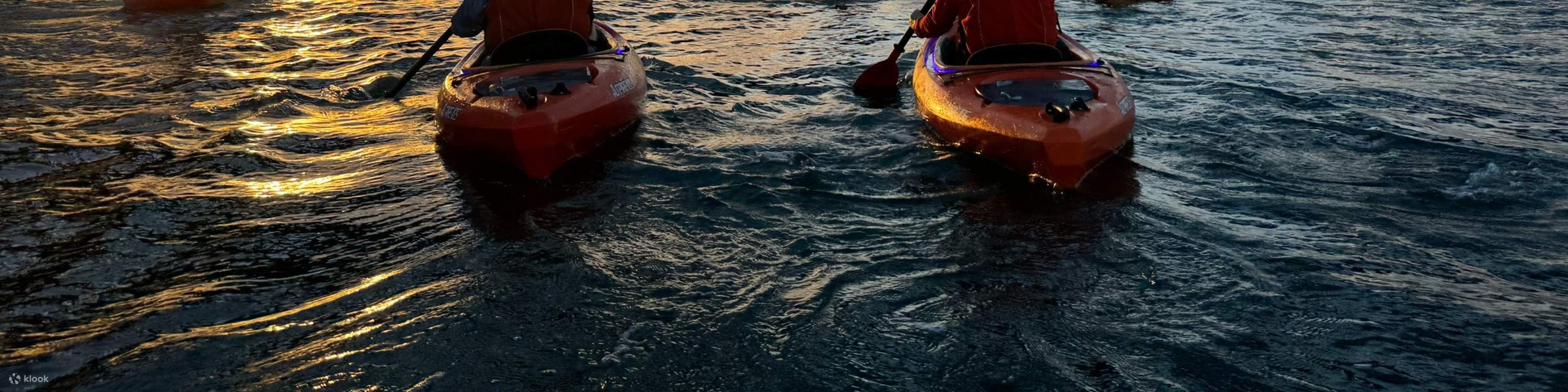 Sunrise Kayak on Sydney Harbour with Breakfast Tour - Klook India