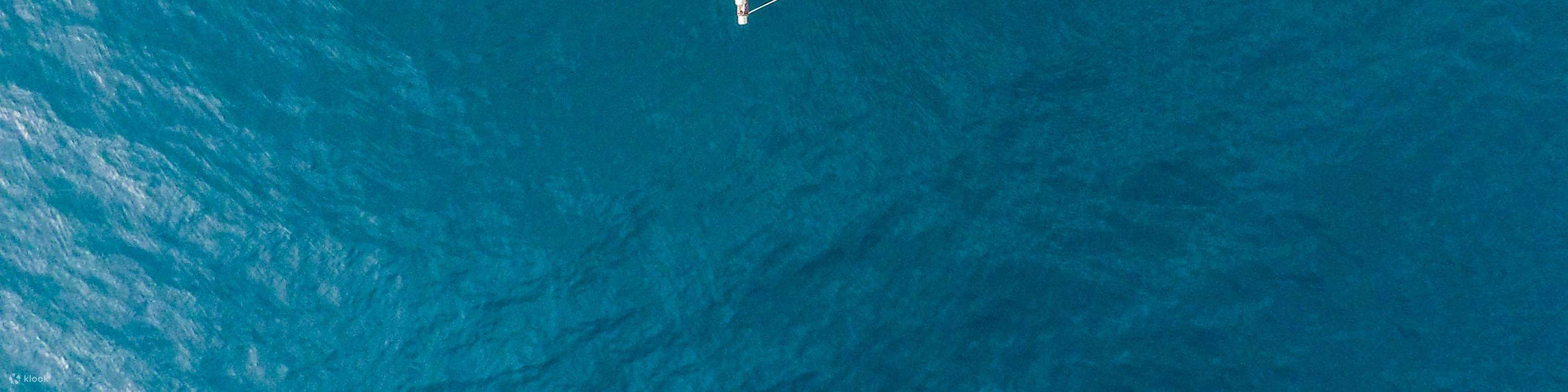 Explore the Elaphite Islands with a Memorable Island Hopping Cruise on ...