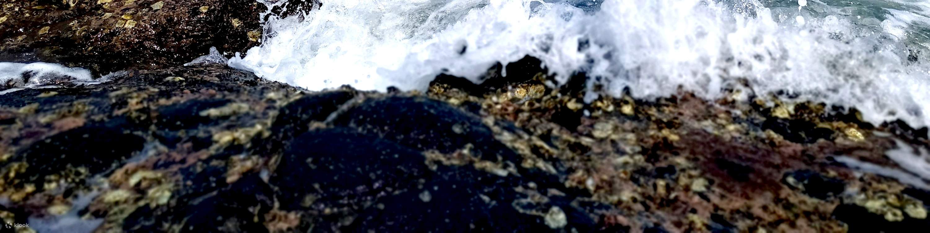 Zhangzhou Coastal Volcanic Island + Zhenhai Cape 1-Day Tour - Klook India