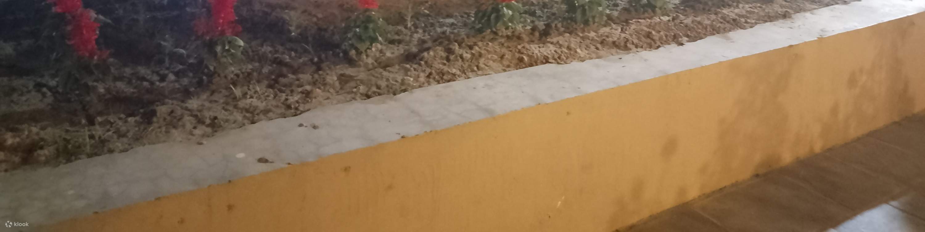 3 Days Exciting Jungle Safari Tour from Kathmandu/Pokhara - Klook Australia